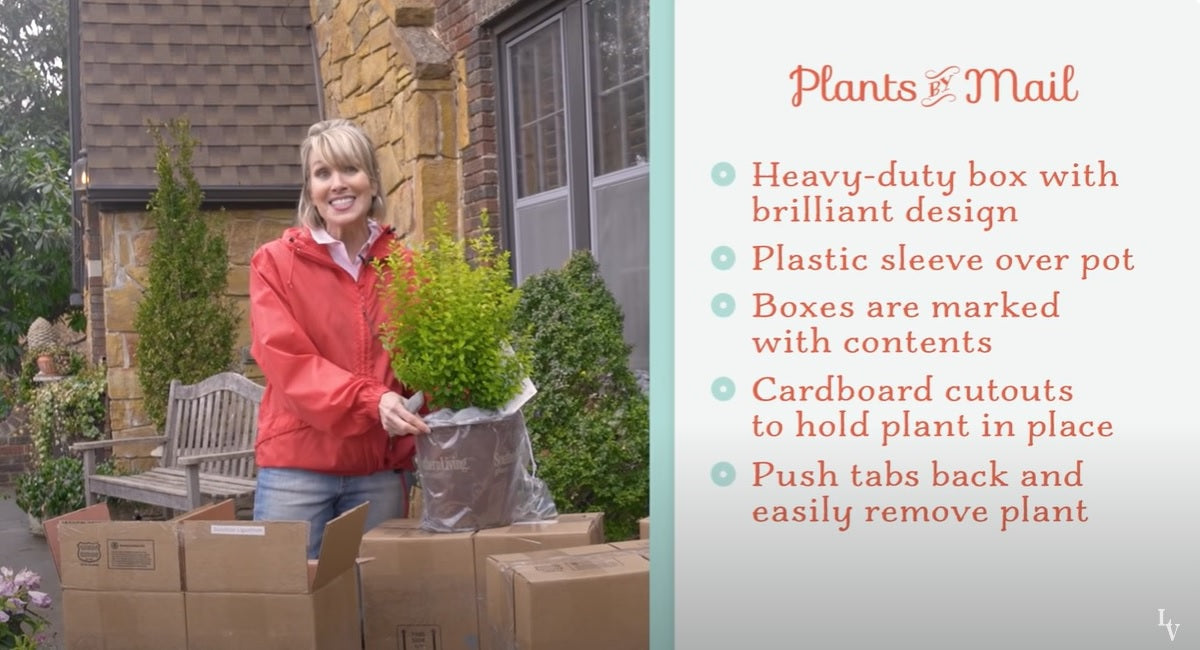 Unboxing Your Mail Order Plants | Plants by Mail
