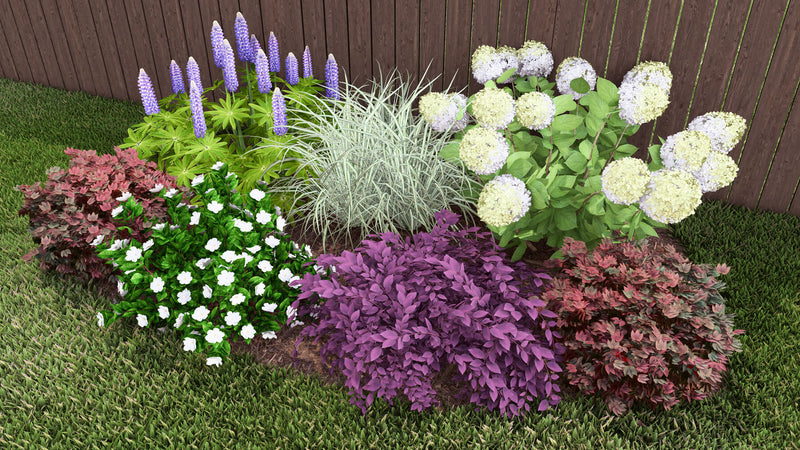 Plant by Number - Garden Plans – Plants by Mail