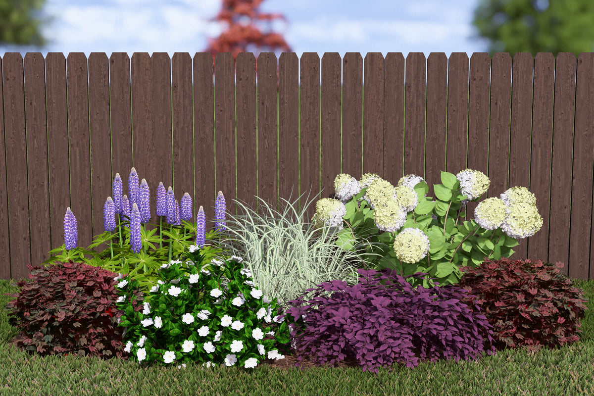 Plant by Number - Garden Plans – Plants by Mail
