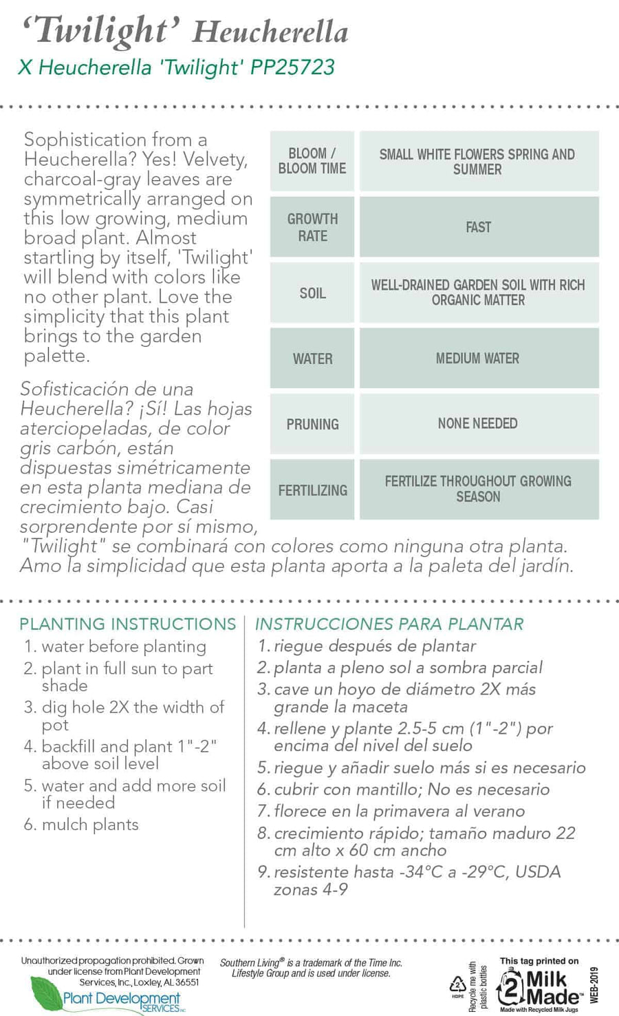 Twilight Heucherella | Shop Online with PlantsbyMail.com – Plants by Mail
