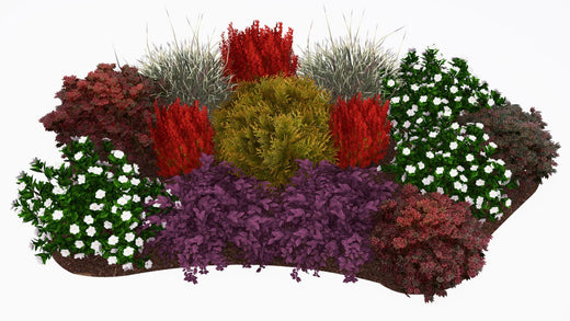 Pre-planned Evergreen Structure Garden Plan – Plants by Mail
